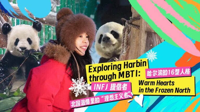 Frost Meets Fur: Harbin’s Pandas Bring Warmth to China’s Frozen North ...